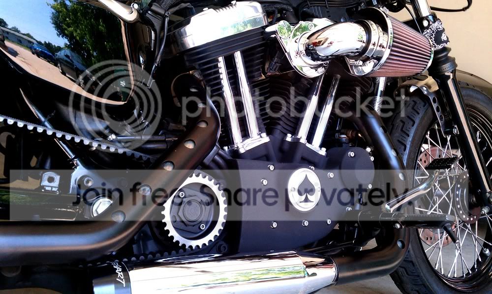 ~Photos of my simple Nightster Mods~ - Page 4 - Harley Davidson Forums